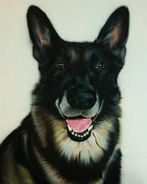 pero | Arcan Studios